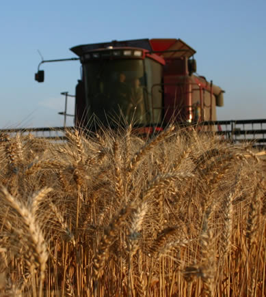 Stream Bars For Uniform Liquid Fertilizer Application - Needham Ag ...